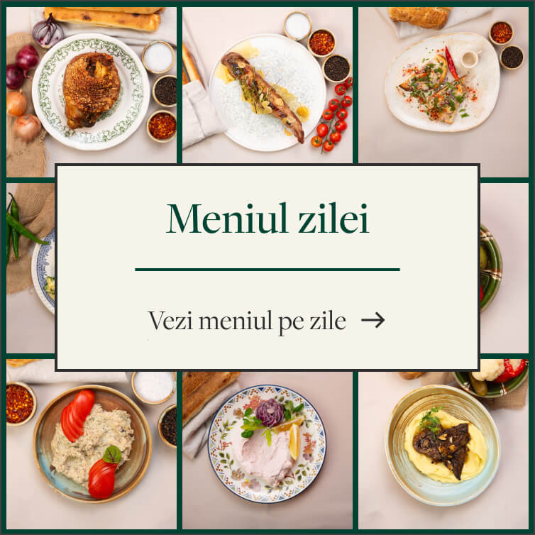 Nora Delivery - Livrare Mancare & Meniul Zilei in Timisoara